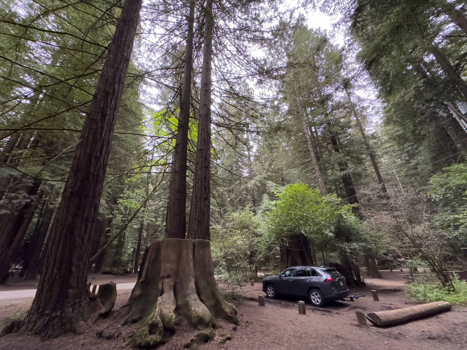 A weekend at Humboldt Redwoods State Park - klauskomenda.net